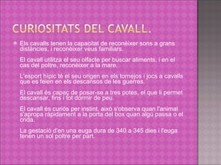 El cavall | PPT
