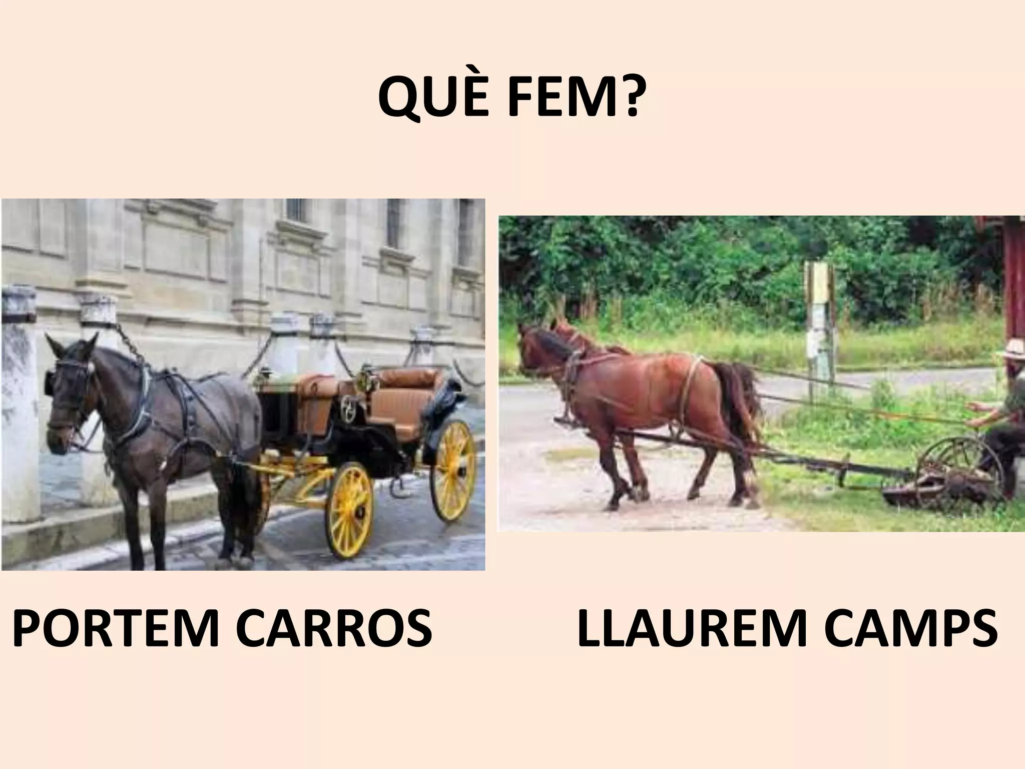 El Cavall | PPT