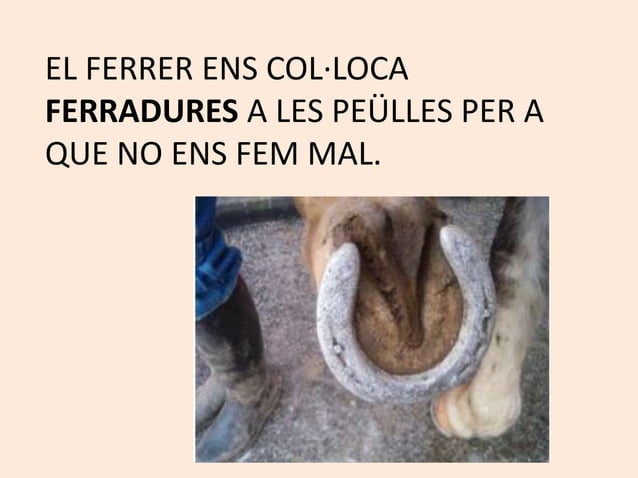 El Cavall | PPTX