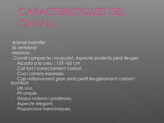 El cavall | PPT