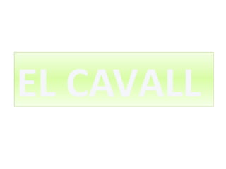 EL CAVALL | ODP