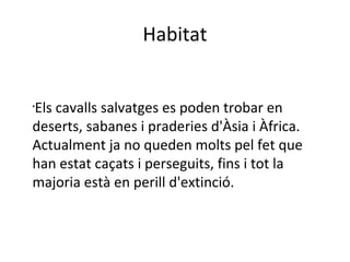 EL CAVALL | ODP