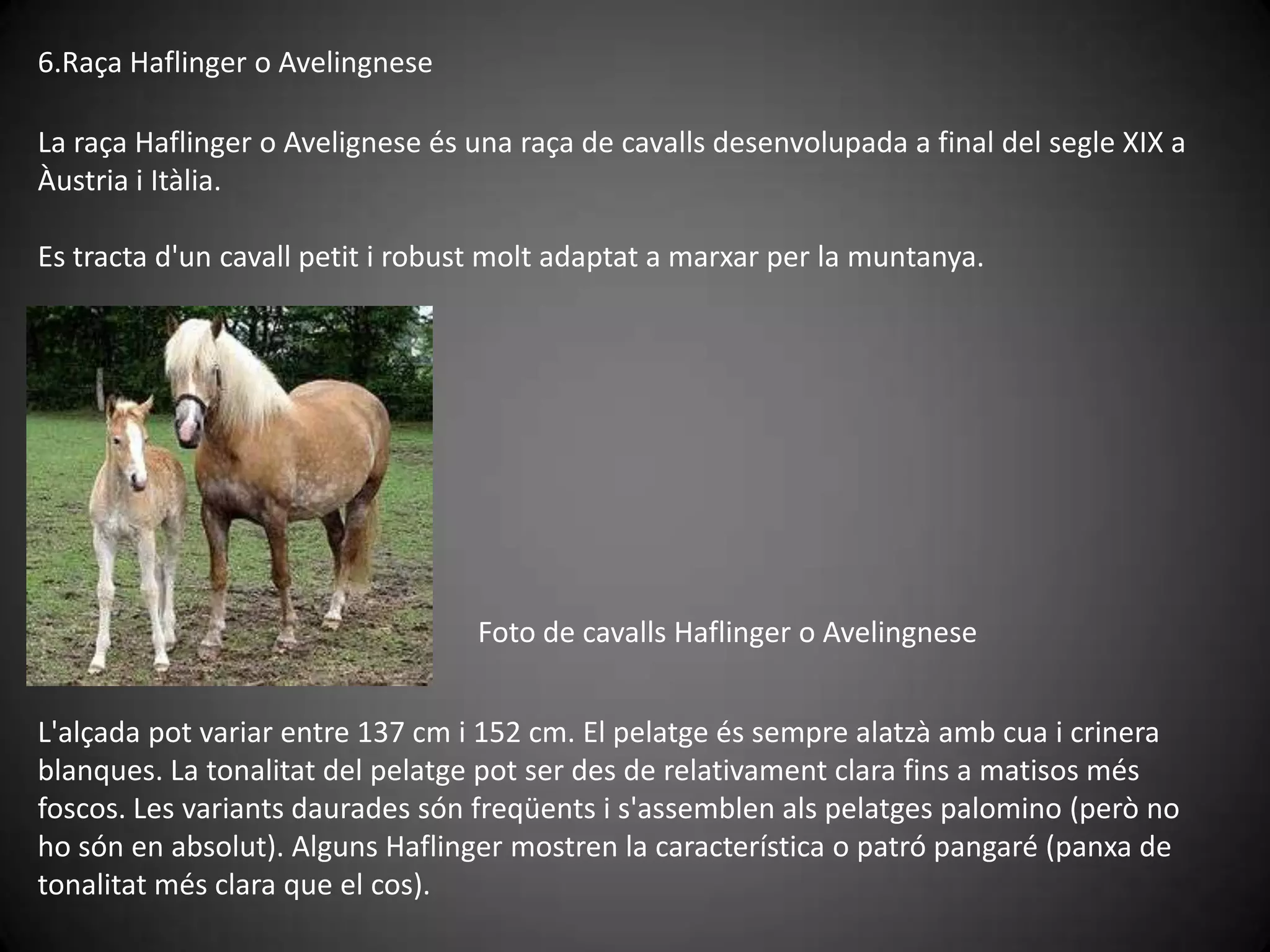 El cavall joaquim cinta. | PPTX