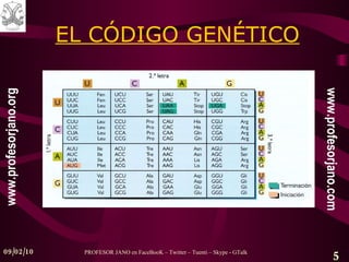 EL CÓDIGO GENÉTICO | PPT