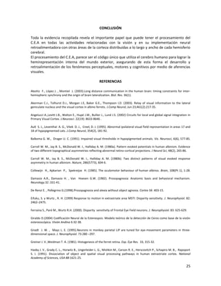 El código visual del cerebro 1.0 | PDF