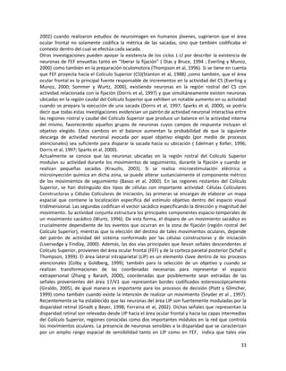 El código visual del cerebro 1.0 | PDF