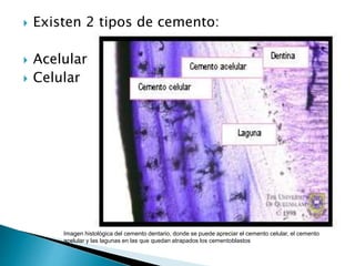 El Cemento.ppt