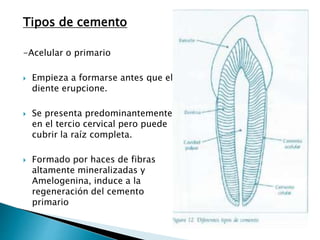 El Cemento.ppt