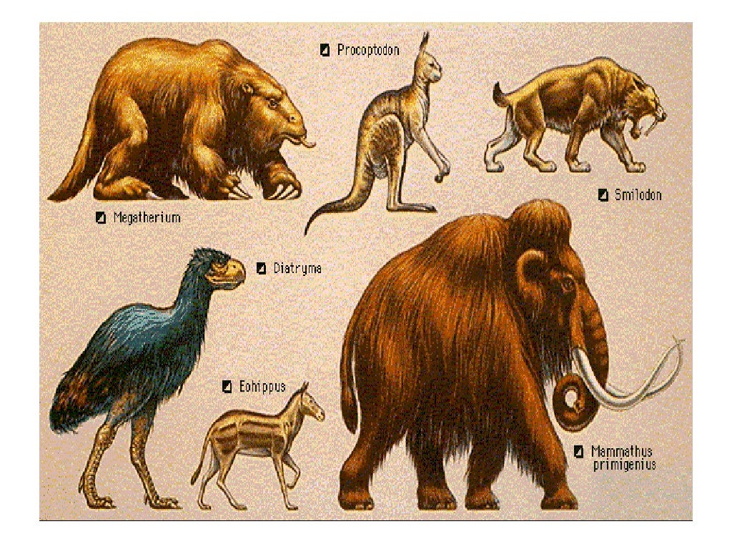 El cenozoico por Jorden