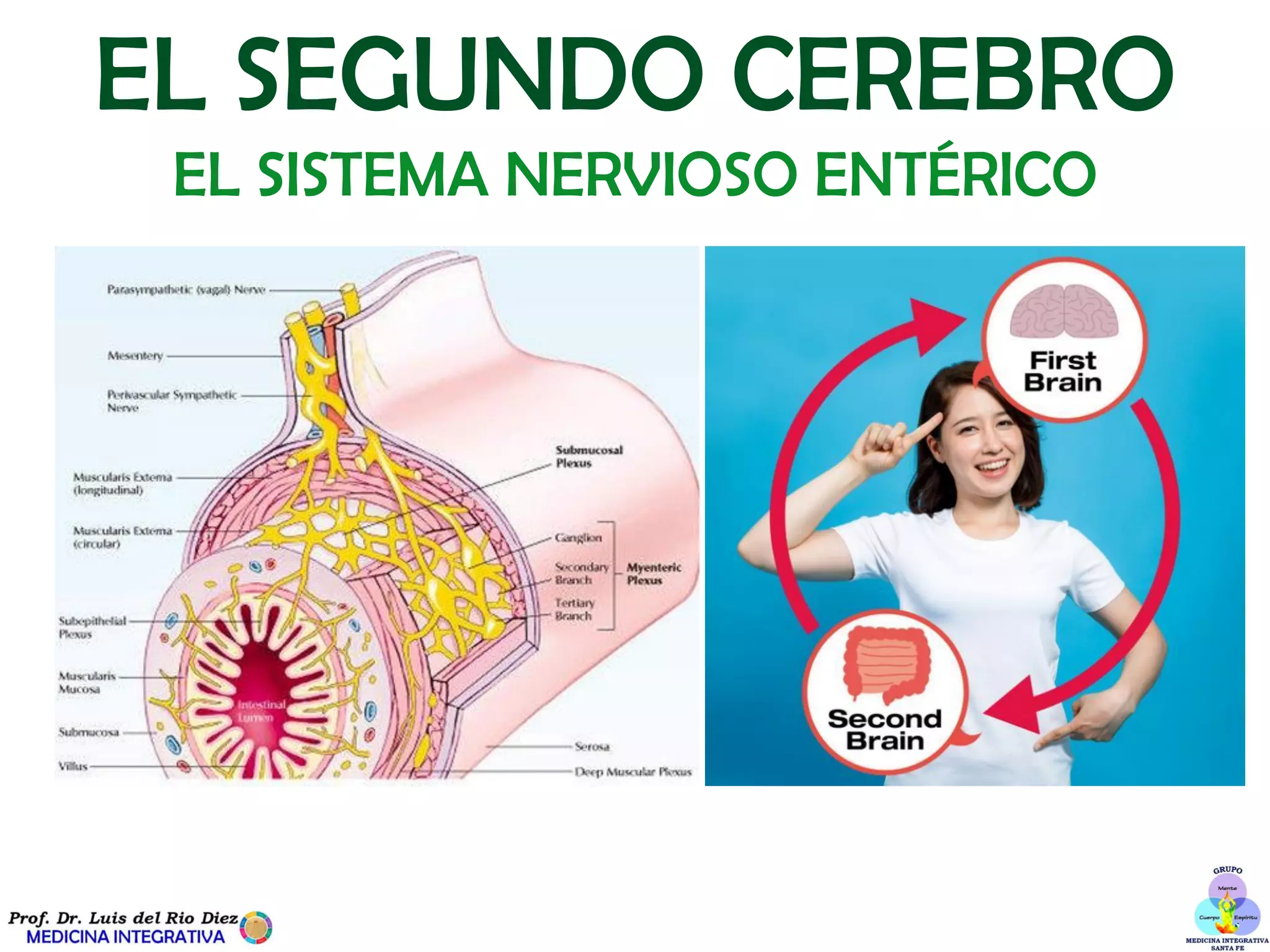 EL CEREBRO DEL INTESTINO DESDE LA MIRADA DE LA MEDICINA INTEGRATIVA. LA ...