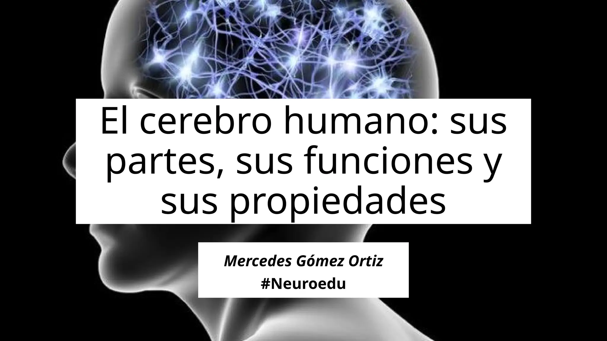 El cerebro humano. Sus partes, sus funciones y sus propiedades | PPSX