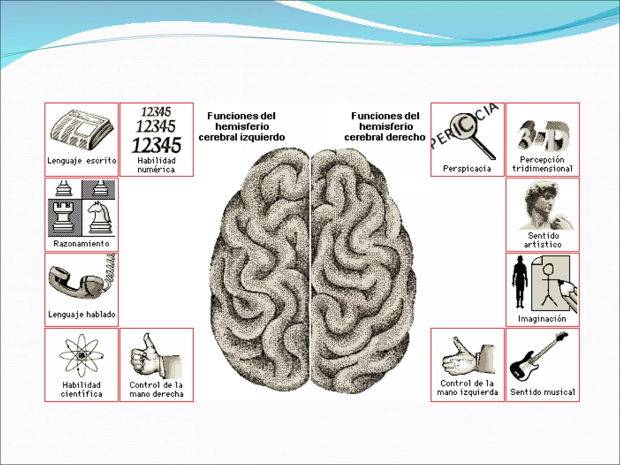 El cerebro triuno | PPT