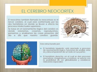 Las Relaciones Humanas Y El Cerebro Triuno | PDF