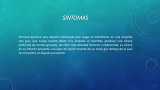 El CHANCRO | PPTX