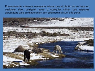 EL CHUÑO PREPARACIÓN USO Y ALMACENAMIENTO.ppt