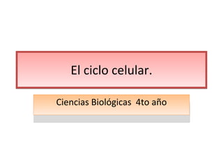 El ciclo celular | PPT