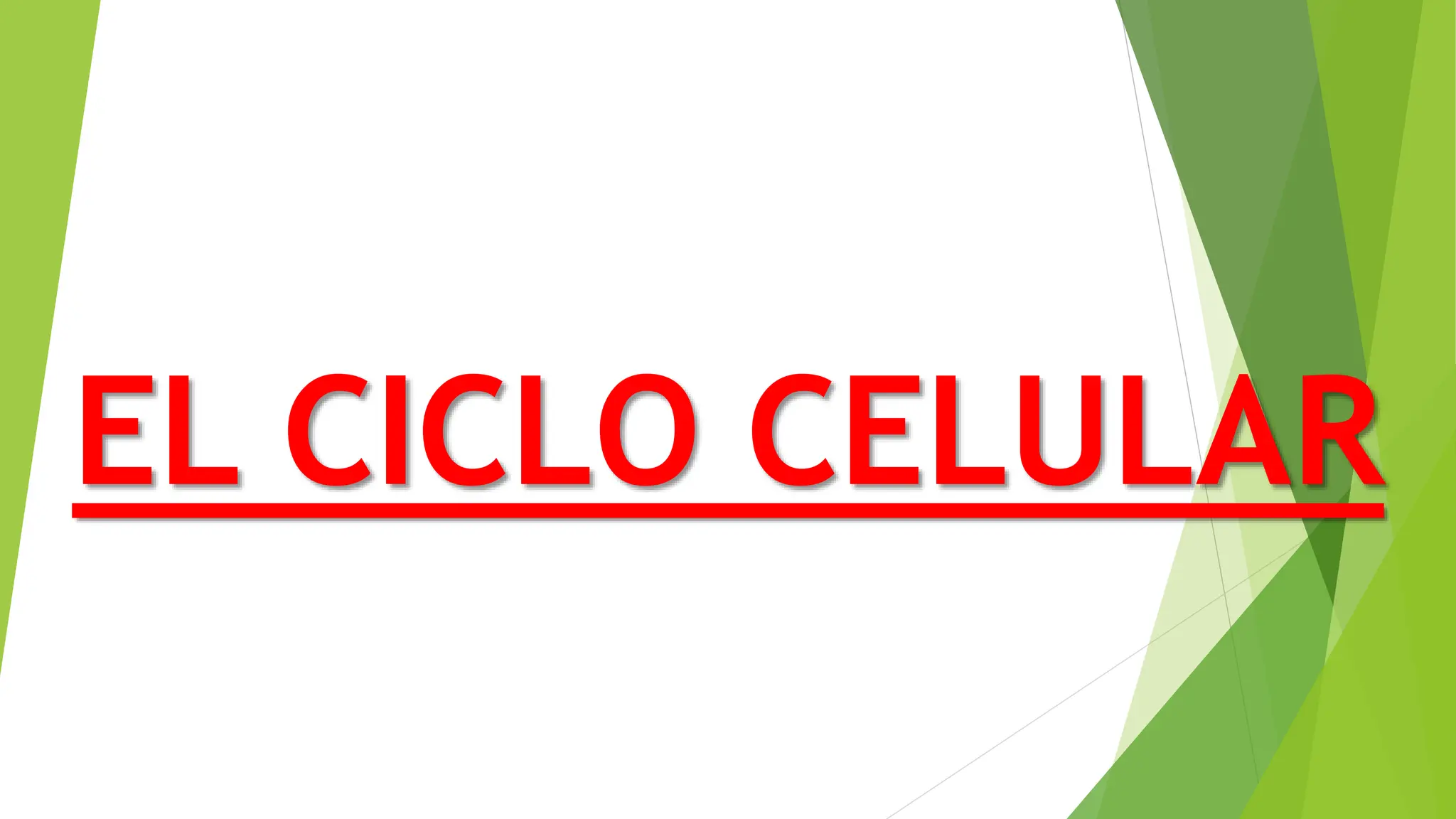EL CICLO CELULAR y sus conceptos y .pptx