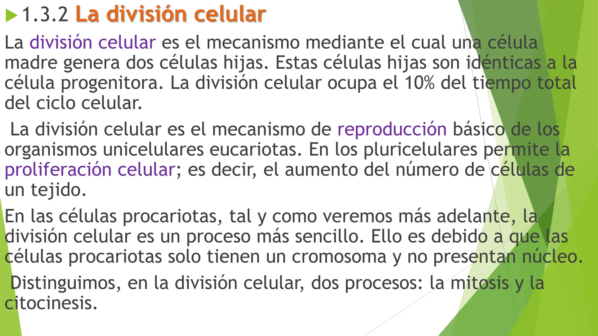 EL CICLO CELULAR y sus conceptos y .pptx