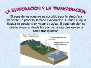 El Ciclo Del Agua | PPT