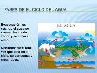 El ciclo del agua | PPTX