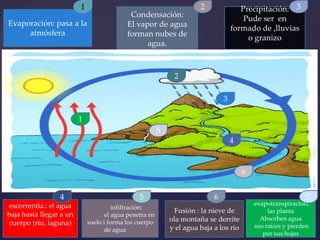 El ciclo del agua | PPTX