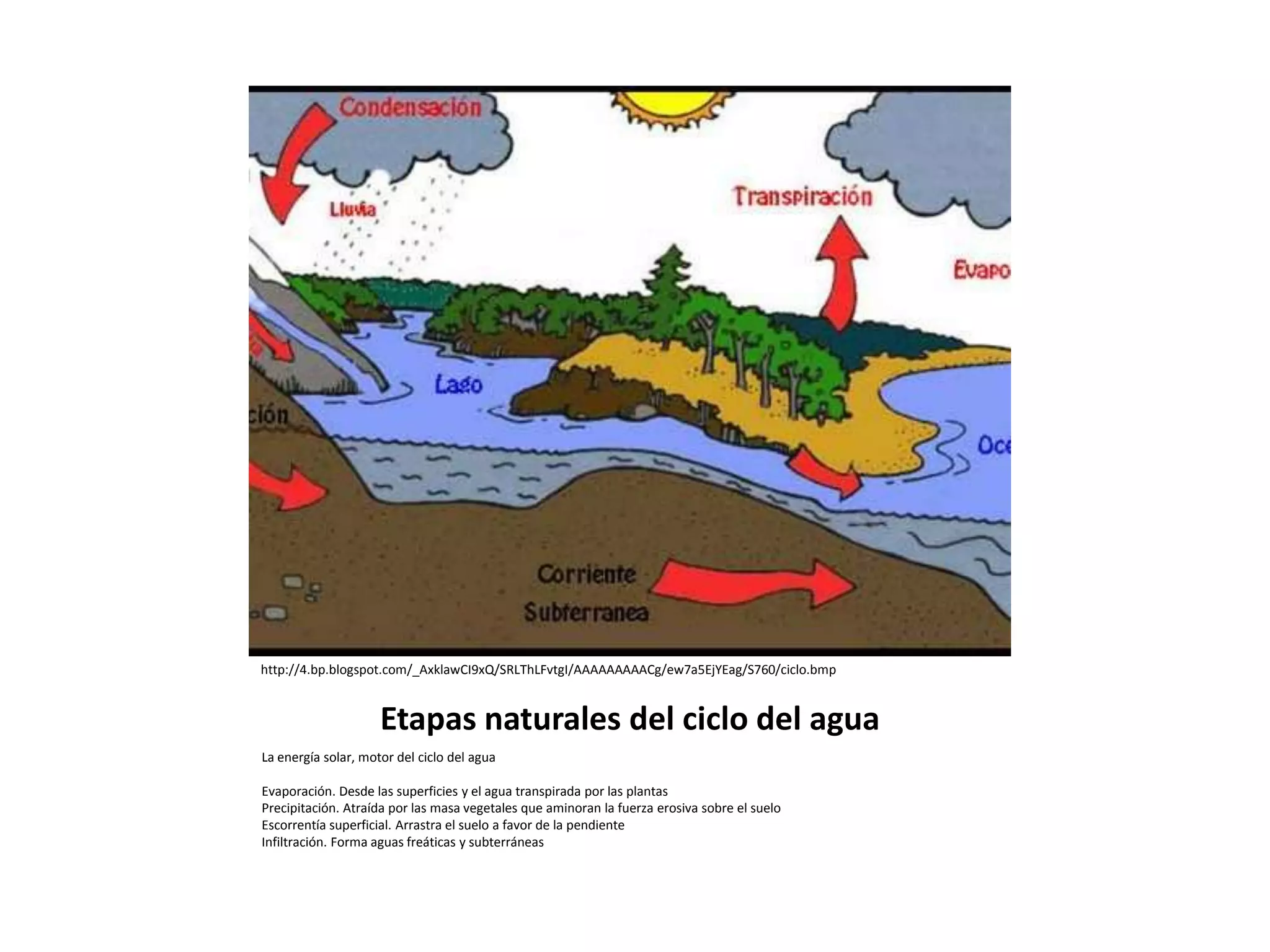 El ciclo del agua en la ciudad | PPTX