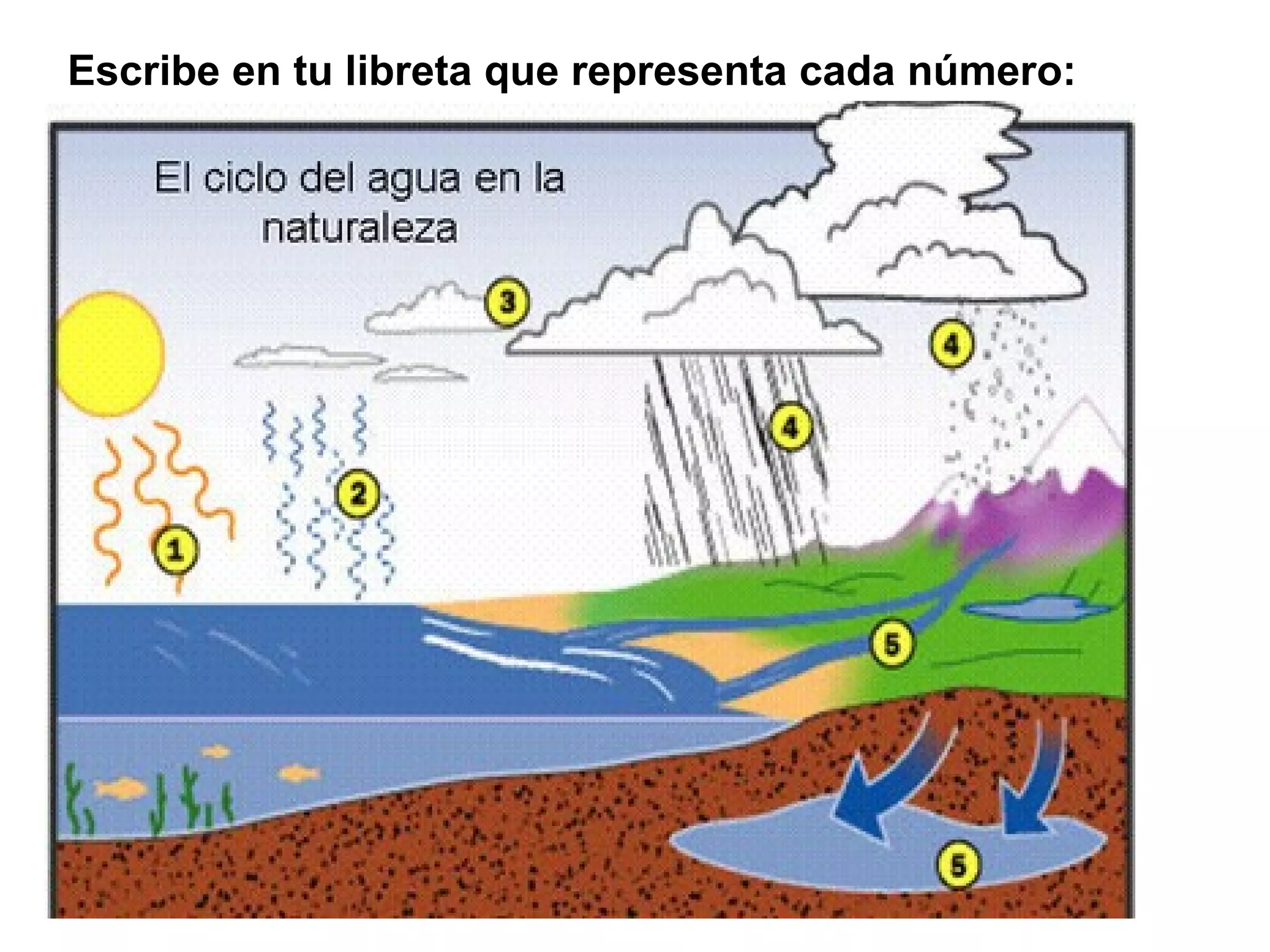 El ciclo del agua powerpoint prueba | PPT El ciclo del agua powerpoint prueba | PPT