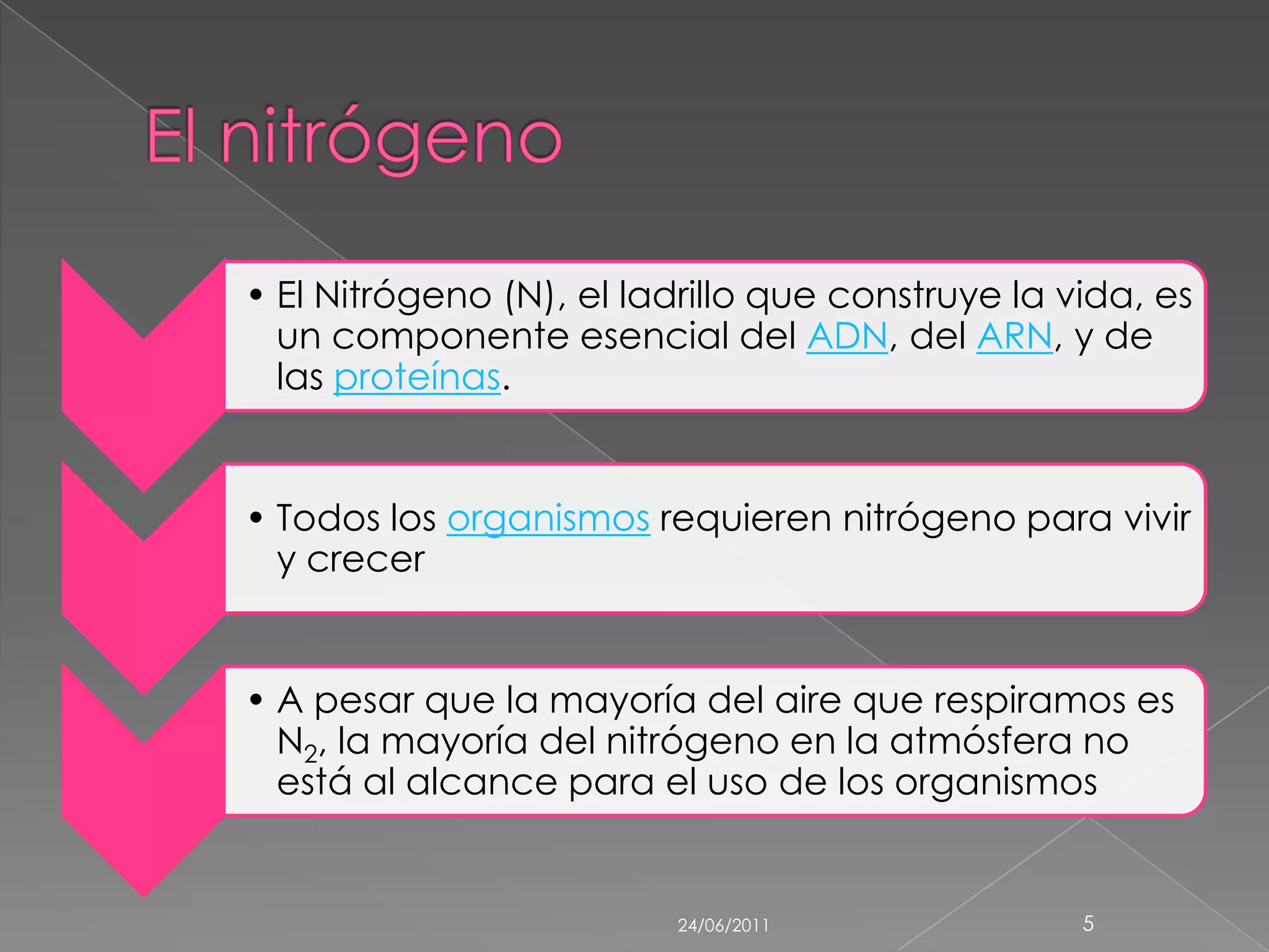 El ciclo del nitrógeno diapositivas | PPTX