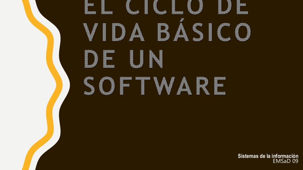 EL CICLO DE VIDA BÁSICO DE UN SOFTWARE.pptx