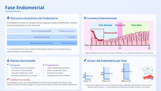 El Ciclo Ovárico_ Proceso Fundamental de la Reproducción Femenina.pptx