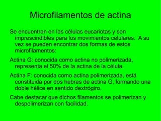 El citoesqueleto | ODP