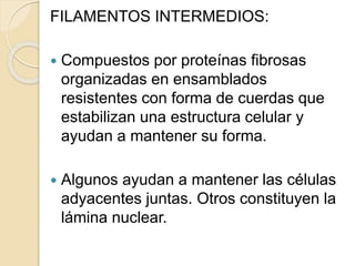 Medicina Veterinaria y Zootecnia. | PPTX