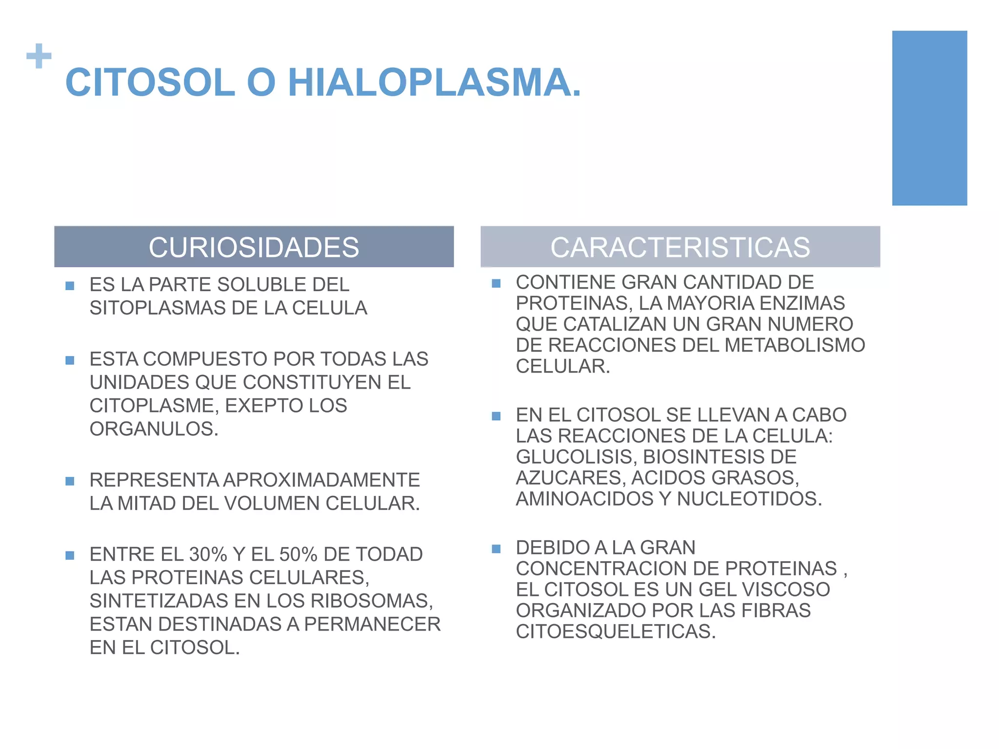 El citoplasma | PPT