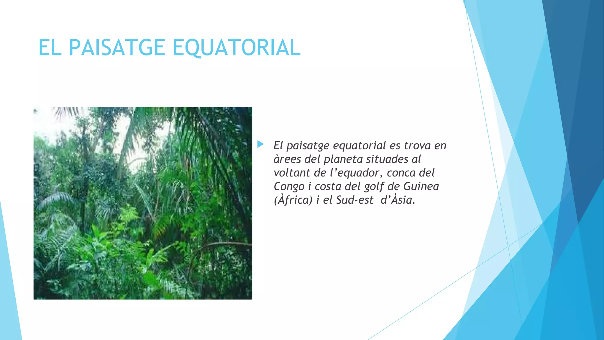 El clima equatorial (2014 15) pau, asmaa, alba i sara | PPT