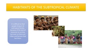 El clima subtropical | PPTX