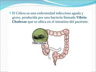 El cólera. Por Valeria B. | PPT