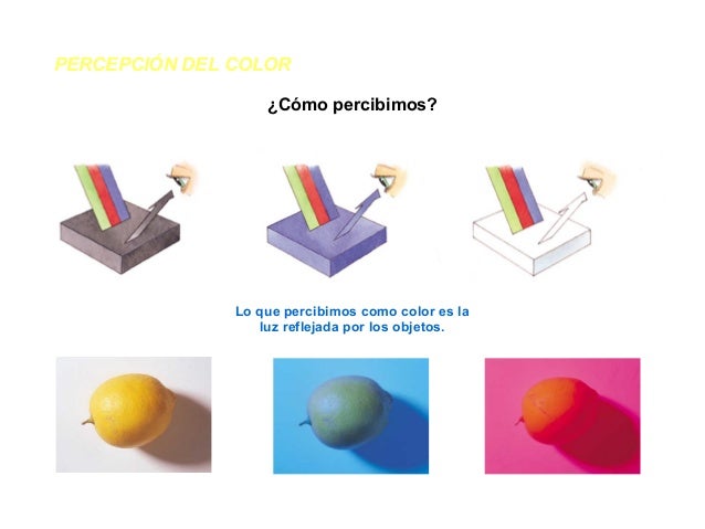 Como Percibimos El Color - slingo