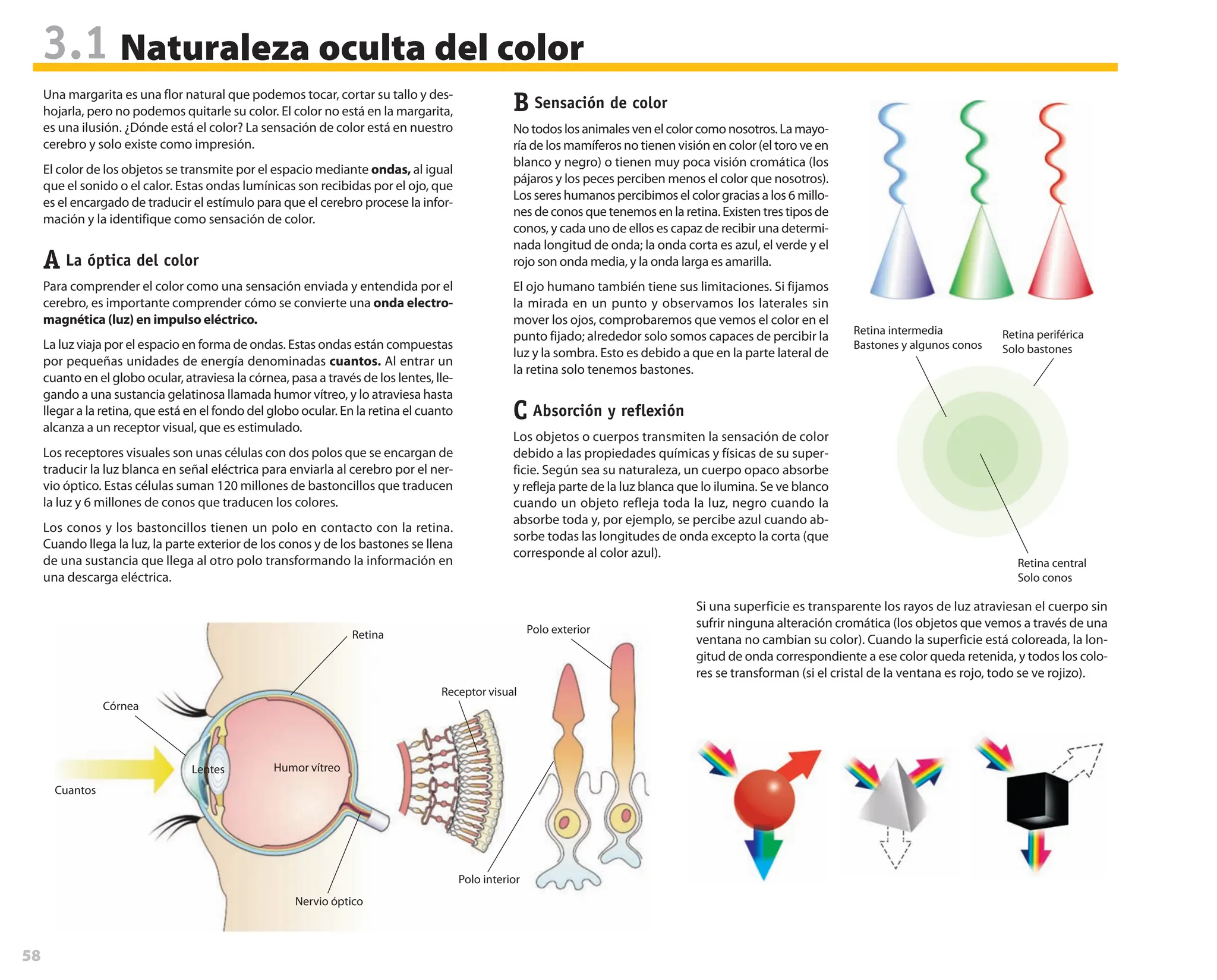 diferentes técnicas del color, primarios, secundarios .pdf