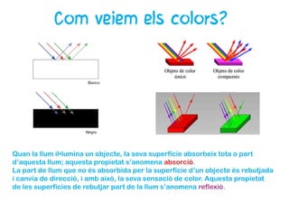 El color catala | PDF