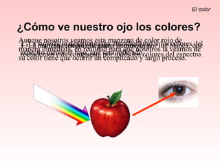 El color (percepción de los colores) | PPS