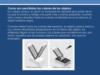 El color warhol | PPT