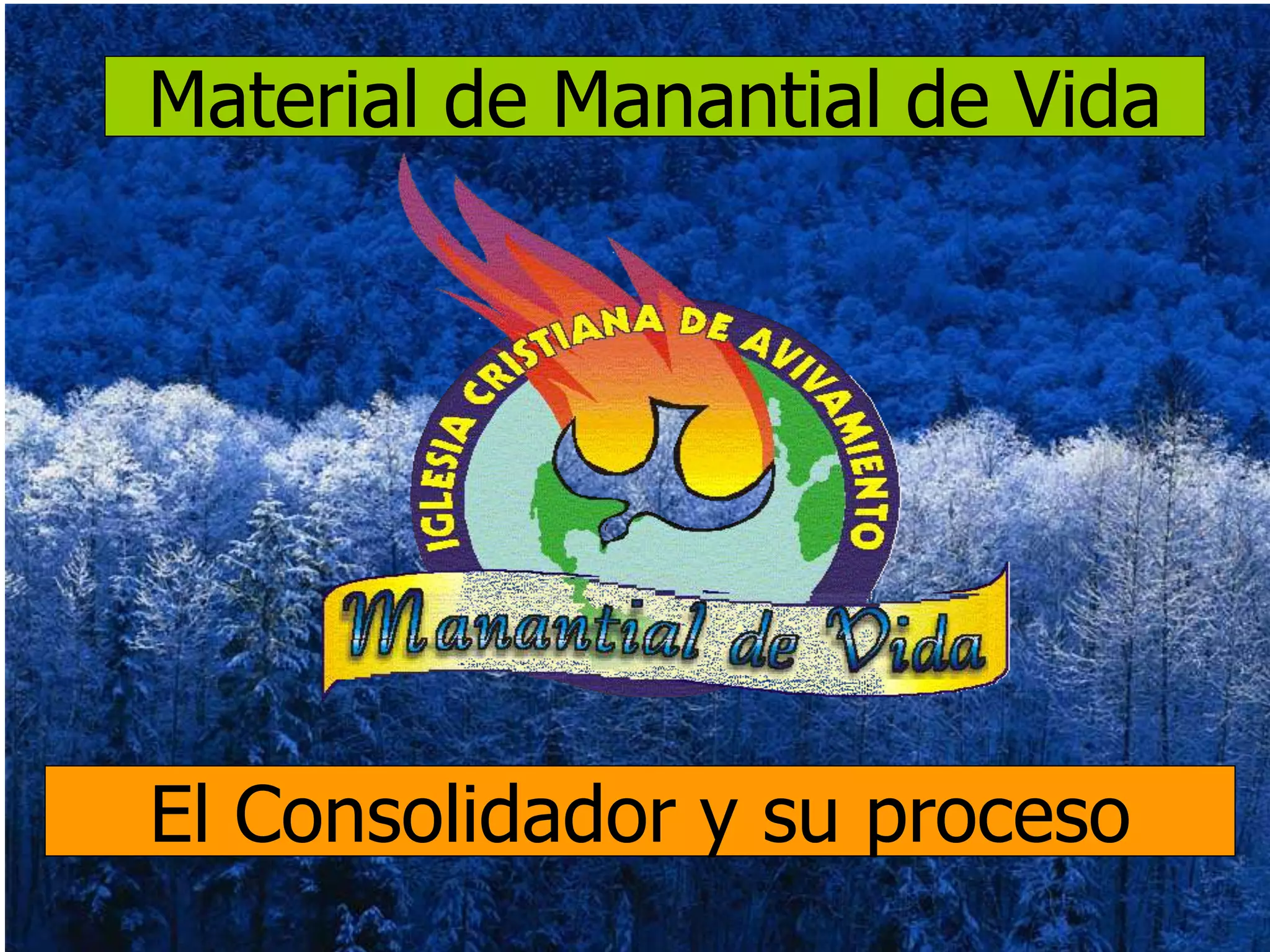 El consolidador y su proceso.ppt