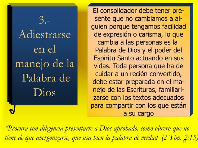 El consolidador y su proceso.ppt