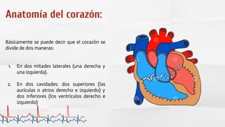El corazón (generalidades sobre la anatomía del corazón) | PDF
