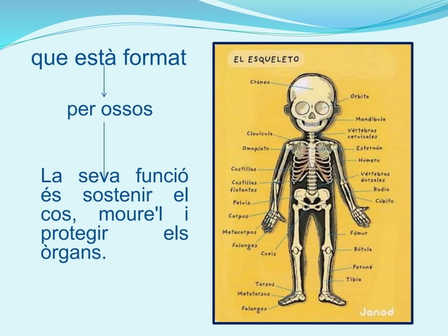 El moviment del cos | PPTX