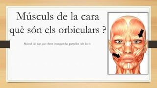 El cos humà | PPT