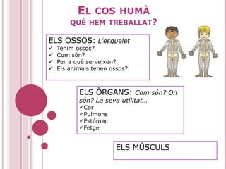 El cos humà | PPT