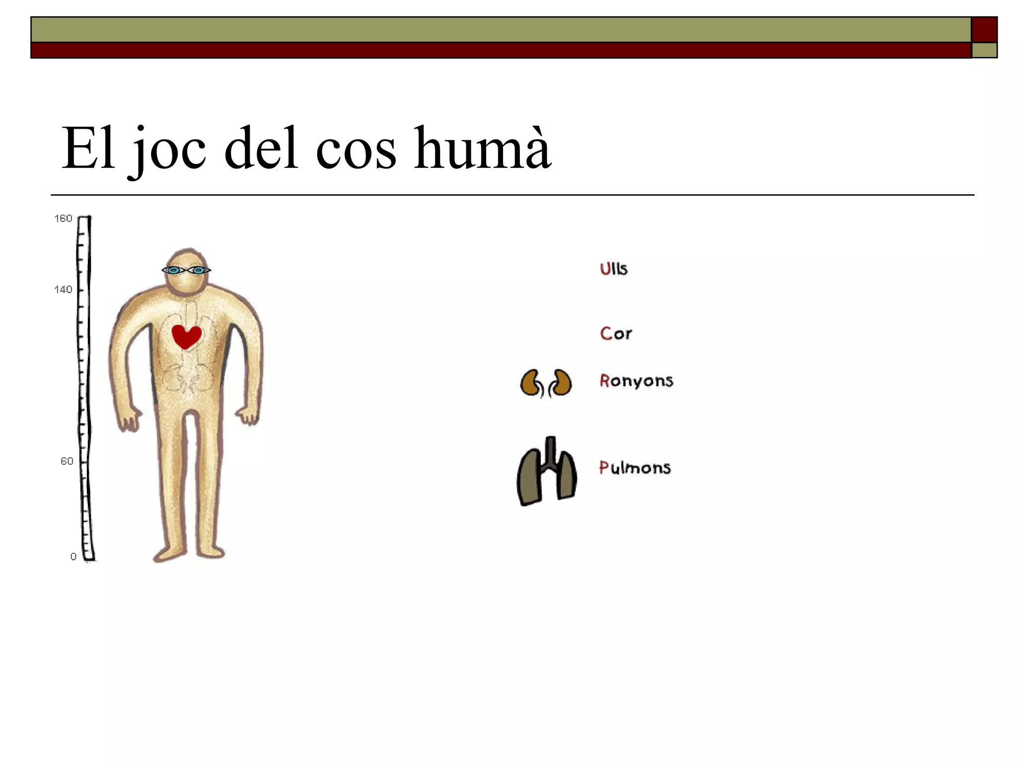 El Cos Huma Ppt