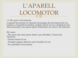 El cos huma aida | PPTX