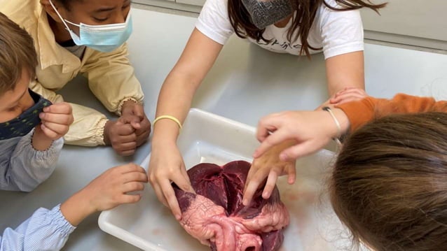 El cos humà UT3_EP4_Curs 2021 | PPT